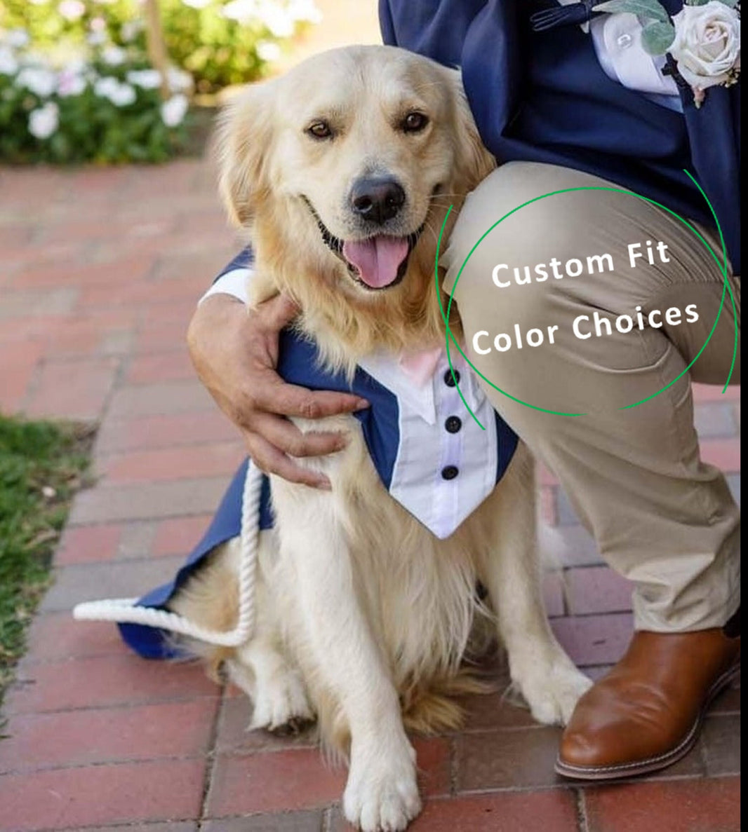 Dog Wedding Attire